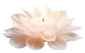 The first specialized spa and massage center in Iran | Niloofar Abi