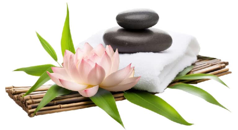 The first specialized spa and massage center in Iran | Niloofar Abi